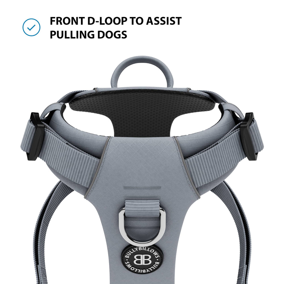 Air Mesh Harness - Anti-Pull, With Handle, Non Restrictive & Adjustabl ...